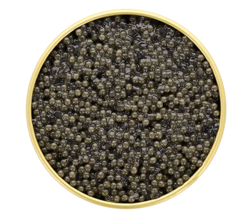 Caviar – Paddlefish ~ Polydon Spathula - Something Fresh Guam | Saipan ...